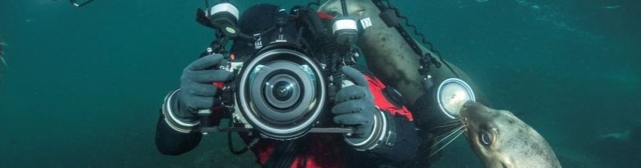 Ultralight Underwater Camera Tray Kits - UltraLight Camera Solutions